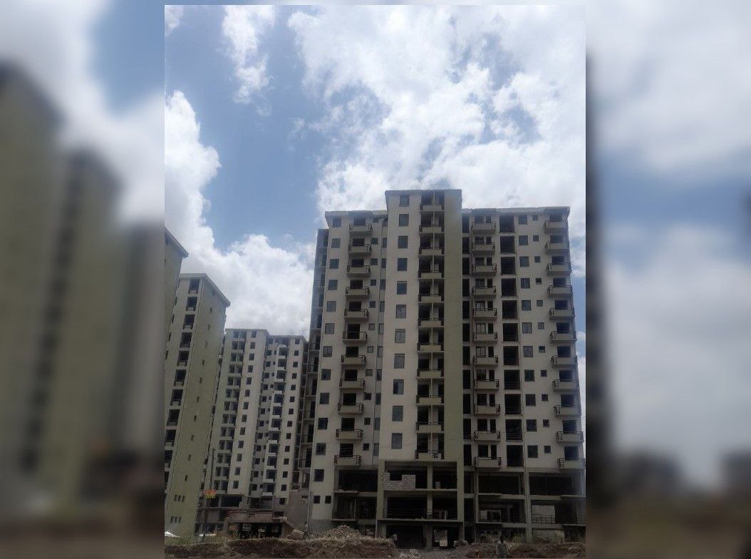 Services | Haverim Construction